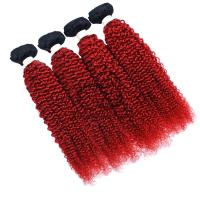 China T1B Red Kinky Curly Remy Human Hair Bundles 10-28 Inch Brazilian Sew In Weave 3 Bundles Set for sale