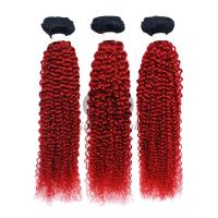 China T1B Red Kinky Curly Remy Human Hair Bundles 10-28 Inch Brazilian Sew In Weave 3 Bundles Set for sale