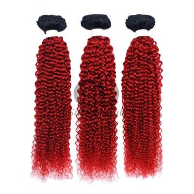 China T1B Red Kinky Curly Remy Human Hair Bundles 10-28 Inch Brazilian Sew In Weave 3 Bundles Set for sale