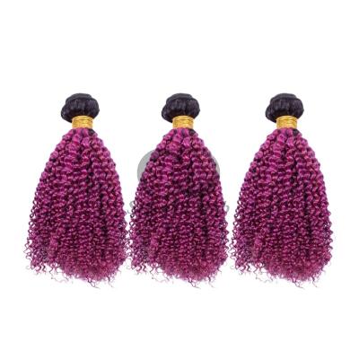 China T1B Purple Kinky Curly Remy Human Hair Bundles 10-28 Inch Brazilian Weave Sew In for sale