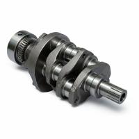China Assembly Crankshaft XINCHAI 490BPG Engine System For Forklift for sale