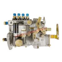 China Xinchai NB485BPG Diesel Engine Fuel Injection Pump 4Q250ZH-1 BH4Q75R8 for HELI Forklift for sale