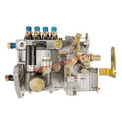 China Xinchai NB485BPG Diesel Engine Fuel Injection Pump 4Q250ZH-1 BH4Q75R8 for HELI Forklift for sale