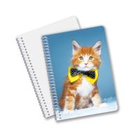 China 3D Lenticular Printing Notebook with 0.35-0.9mm PET Cover and Spiral Binding for Office and School Use for sale