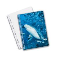 China 3D Lenticular Printing Notebook with PET 0.35-0.9mm Cover Thickness | Customizable School Stationery for sale