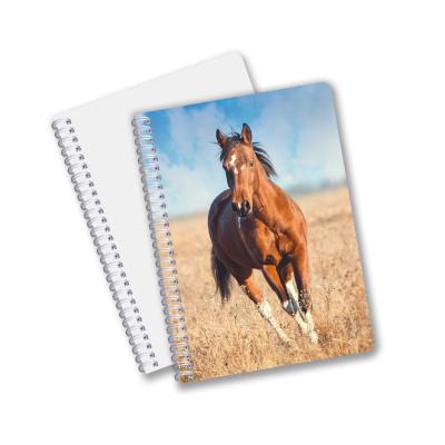 China Custom 3D Lenticular Spiral Notebook with 0.35mm-0.9mm PET Cover and Custom Printing for School & Office for sale