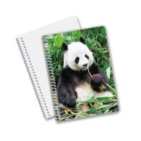 China Custom A6 A5 A4 3D Lenticular PET Spiral Notebooks with 0.35-0.9mm Cover Thickness for Office Use for sale