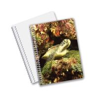 China Custom 3D Lenticular Notebooks with PET/PP Covers 0.35-0.9mm Thickness for School Stationery and Promotional Gifts for sale