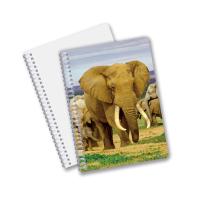 China Custom 3D Lenticular Notebook A5 A6 Size with 0.35mm-0.9mm PET/PP Cover and Multiple Visual Effects for sale