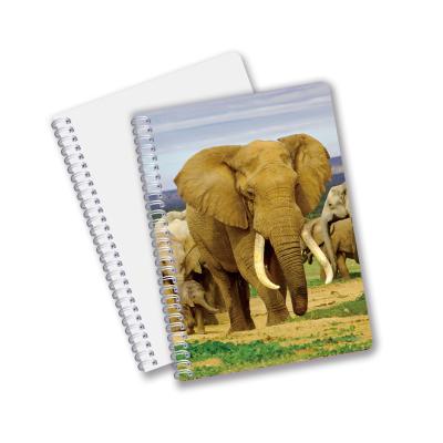 China Custom 3D Lenticular Notebook A5 A6 Size with 0.35mm-0.9mm PET/PP Cover and Multiple Visual Effects for sale