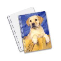 China Custom 3D Lenticular Notebooks A3/A4/A5/A6 Sizes with 100 Pcs MOQ and 20-25 Day Delivery for sale