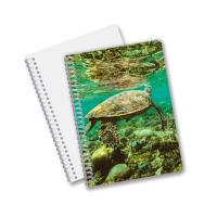 China Custom 3D Lenticular Printing Notebooks - A4/A5/A6/A7 Sizes with 100 MOQ and Custom Logo Options for sale