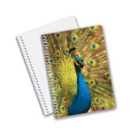 China Custom 3D Lenticular Notebook with PET Material 0.35mm-0.9mm Cover Thickness for Promotional Gifts and Office Use for sale