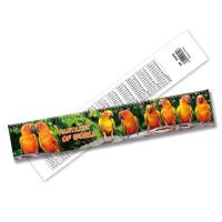 China Custom 3D Lenticular Plastic Ruler 6x17cm with Flip Animation Effects - EU Standard Compliant for sale