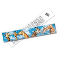 China Custom 3D Lenticular Ruler 15cm/20cm/30cm with High Definition 3D Effect for School Stationery and Promotions for sale