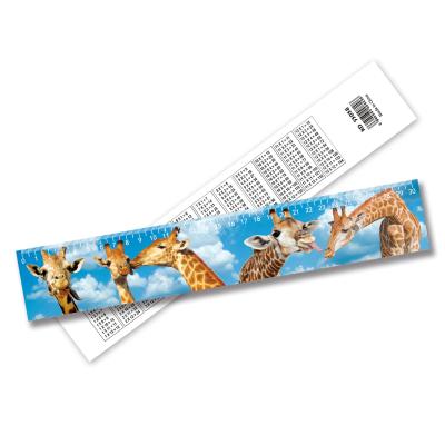China Custom 3D Lenticular Ruler 15cm/20cm/30cm with High Definition 3D Effect for School Stationery and Promotions for sale