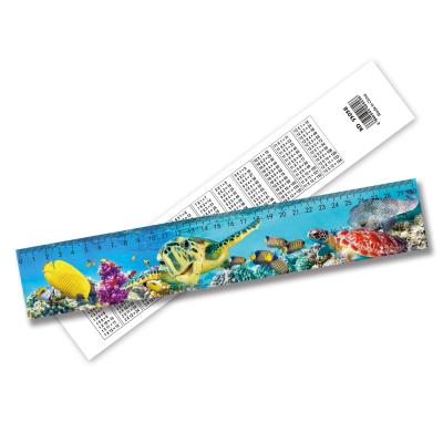 China Custom 3D Lenticular Ruler with 0.35-0.9mm PET Thickness and 60×80cm Maximum Size Options for sale