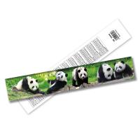 China Custom 3D Lenticular Printing Products - PET Material 0.35-0.9mm Thickness, Up to 60×80cm Size for sale
