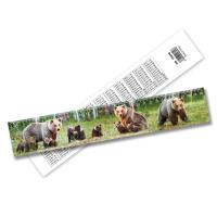 China Custom 3D Lenticular Ruler with 0.35-0.9mm PET Thickness and 60×80cm Maximum Size for Promotional Products for sale