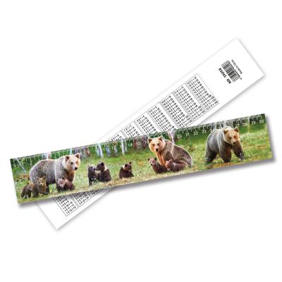 China Custom 3D Lenticular Ruler with 0.35-0.9mm PET Thickness and 60×80cm Maximum Size for Promotional Products for sale