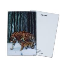China Brown Bear Alaska 3D Lenticular Postcard Souvenir - 10x15cm to 12x17cm Sizes, 0.6mm PET Material with 75LPI Resolution for sale