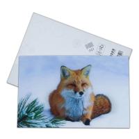 China Brown Bear Alaska 3D Lenticular Postcard Souvenir - 10x15cm to 12x17cm Sizes, 0.6mm PET Material with 75LPI Resolution for sale