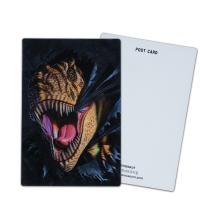 China Custom 3D Lenticular Postcards 10x15cm to 12x17cm with 0.6mm PET Material for Zoo Park Promotions for sale
