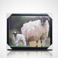 China Custom 3D Lenticular Poster Printing with Black PS Frame - 500 Pcs MOQ, 510mm Max Size for Home Decoration for sale