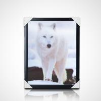 China 40×30cm 3D Lenticular Animals World Picture with Black Frame - 75 LPI Lenticular Printing for Living Room Wall Decor for sale