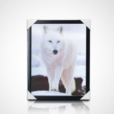 China 40×30cm 3D Lenticular Animals World Picture with Black Frame - 75 LPI Lenticular Printing for Living Room Wall Decor for sale