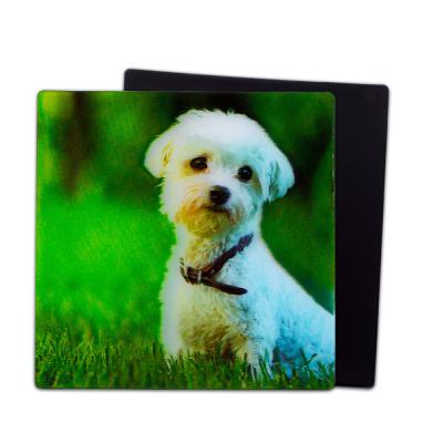 China Lovely Puppies 3D Lenticular Fridge Magnet - 5.5×8cm to 7.7×11cm Sizes with 0.6mm PET and 0.65mm Rubber Magnet for sale