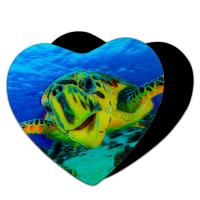 China 3D Lenticular Magnets with Marine Life Designs - 5.5x8cm to 7.7x11cm Sizes, 0.6mm PET with 0.65mm Rubber Magnet Backing for sale
