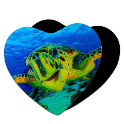 China 3D Lenticular Magnets with Marine Life Designs - 5.5x8cm to 7.7x11cm Sizes, 0.6mm PET with 0.65mm Rubber Magnet Backing for sale