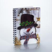 China Custom 3D Lenticular Spiral Notebook A4 A5 Size with 0.35mm-0.9mm PET Cover for Students and Office Use for sale