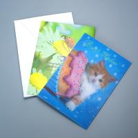 China Custom 3D Lenticular Printing Postcards & Business Cards - 510mm × 710mm Size, 75lpi Standard, MOQ 1000 Pieces for sale