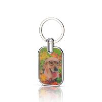 China Custom 3D Lenticular Keychain 2 Inch Acrylic with Full Color UV Printing and 0.5 Ounce Weight for sale