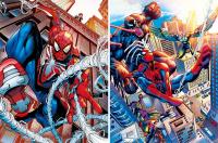 China Custom 3D Lenticular Posters with 480x680mm Printing Area and 75 LPI Resolution for Anime Superhero Wall Decor for sale