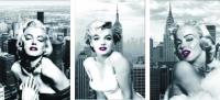 China Custom 3D Lenticular Poster with Frame - 510mm x 710mm Maximum Size, 75 LPI Resolution for Home Decoration for sale
