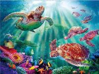 China Sealifes Dolphin Turtle Shark Lenticular 3D Motion Card - 10x15cm to 12x17cm Sizes with 0.6mm PET Material for sale