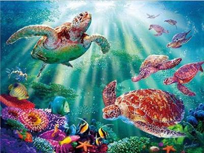 China Sealifes Dolphin Turtle Shark Lenticular 3D Motion Card - 10x15cm to 12x17cm Sizes with 0.6mm PET Material for sale