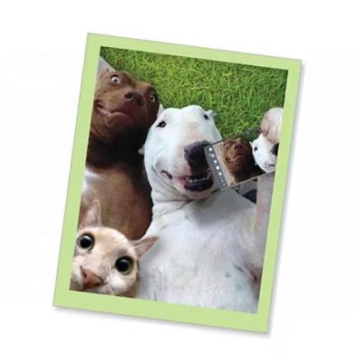 China Custom 3D Lenticular Greeting Cards with 75lpi Standard | 510mm Maximum Size | MOQ 1000 Pieces for sale