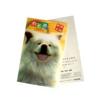 China Custom 3D Lenticular Greeting Cards with Deep 3D Effect - PP/PET Material, 1000 PCS MOQ, 510x710mm Maximum Size for sale