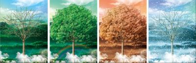 China Custom 3D Lenticular Poster with Frame - 510mm x 710mm Size, Flip & Animation Effects, 500 Pcs MOQ for sale