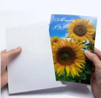 China 5x7 Inch Custom 3D Lenticular Greeting Cards with 0.6mm PET Material and 100pcs MOQ for sale