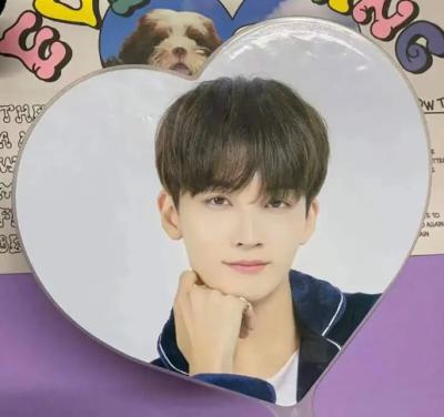 China Custom KPop Transparent 3D PET Fan 15×18 cm for Events - Handmade Plastic Souvenir with Custom Printing for sale