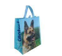 China Sewing PP Bag With Sealing And 20 Years History for sale