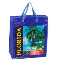 China Eco Friendly Reusable Tote Bag With Customized Printing Laminated Woven Handle for sale