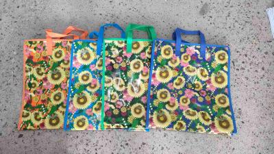 China Customized Printing Biodegradable Plastic Shopping Bags Reusable Eco Friendly for Environmentally Friendly Shopping for sale