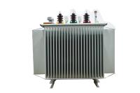 China Three Phase 250kVA Oil Immersed Distribution Transformer 20kV S(B)13-NX3 Energy Efficiency Level 3 for sale