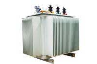 China 100kVA 20kV Oil-immersed Distribution Transformer S(B)13-NX3 Energy Efficiency Level 3 for sale